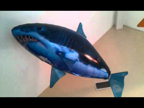 We got a remote control flying shark! - YouTube