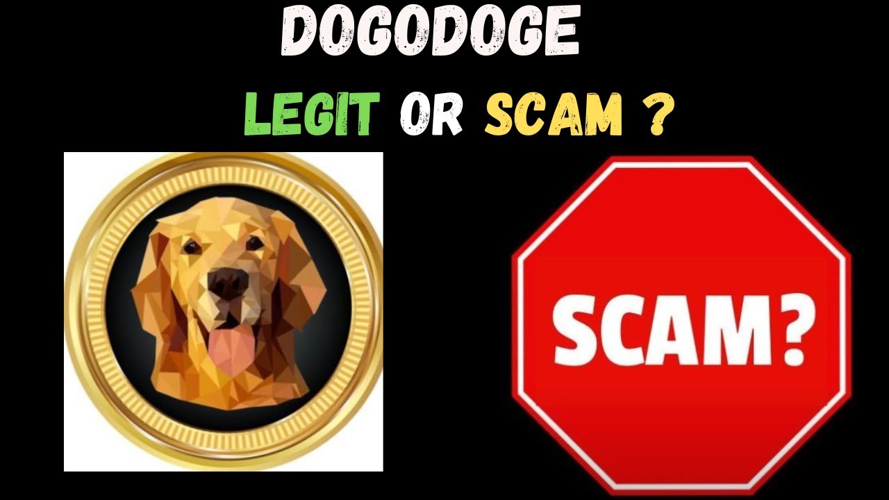 DOGODOGE DOGO DOGE COIN CRYPTO REVIEW PRICE NEWS LEGIT OR SCAM ? - YouTube