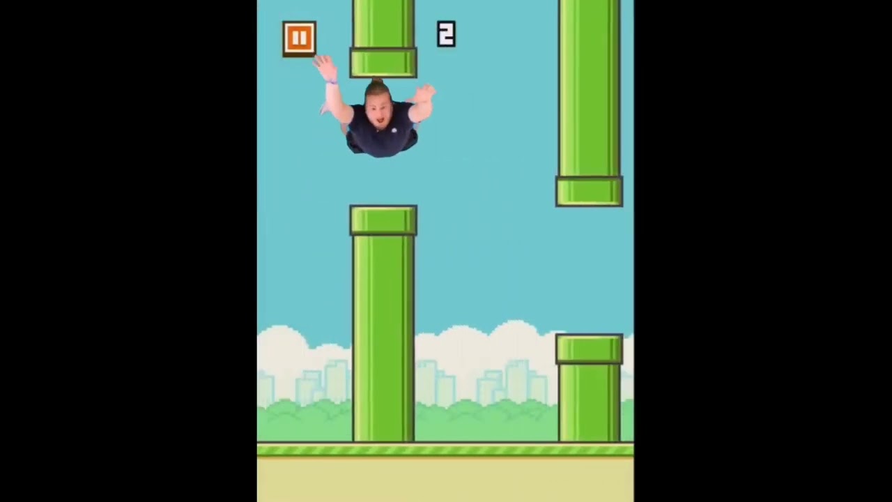 flappy bird, but its Purplecliffe's ad in Fall Guys - YouTube