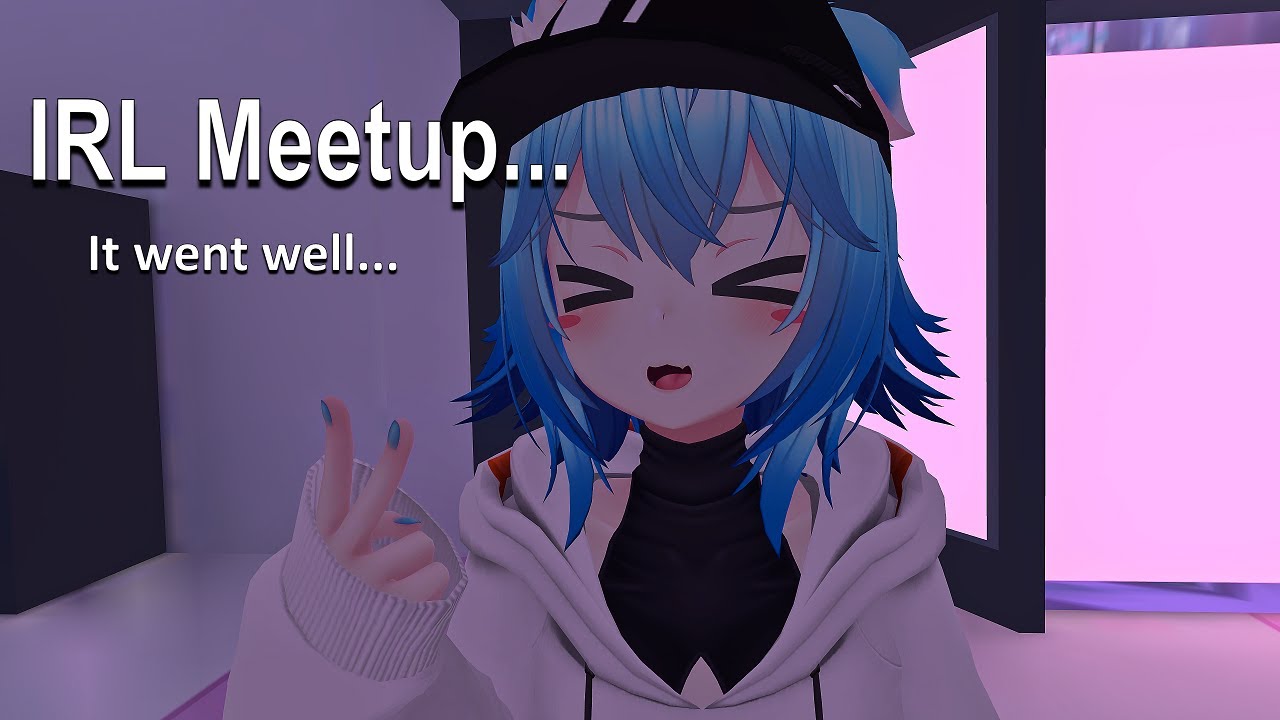 IRL VRChat Meetups Be Like... - YouTube