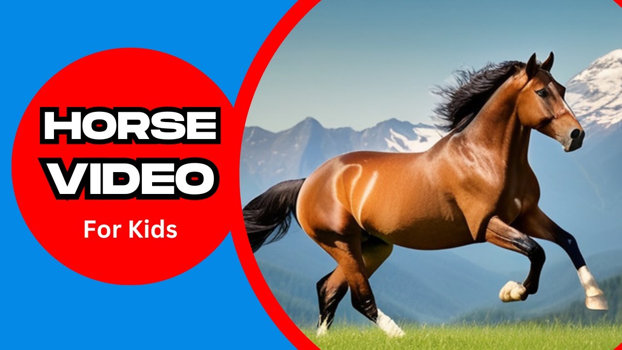 HORSE VIDEO FOR KIDS LEARNING | horse fact video for preschool children ...