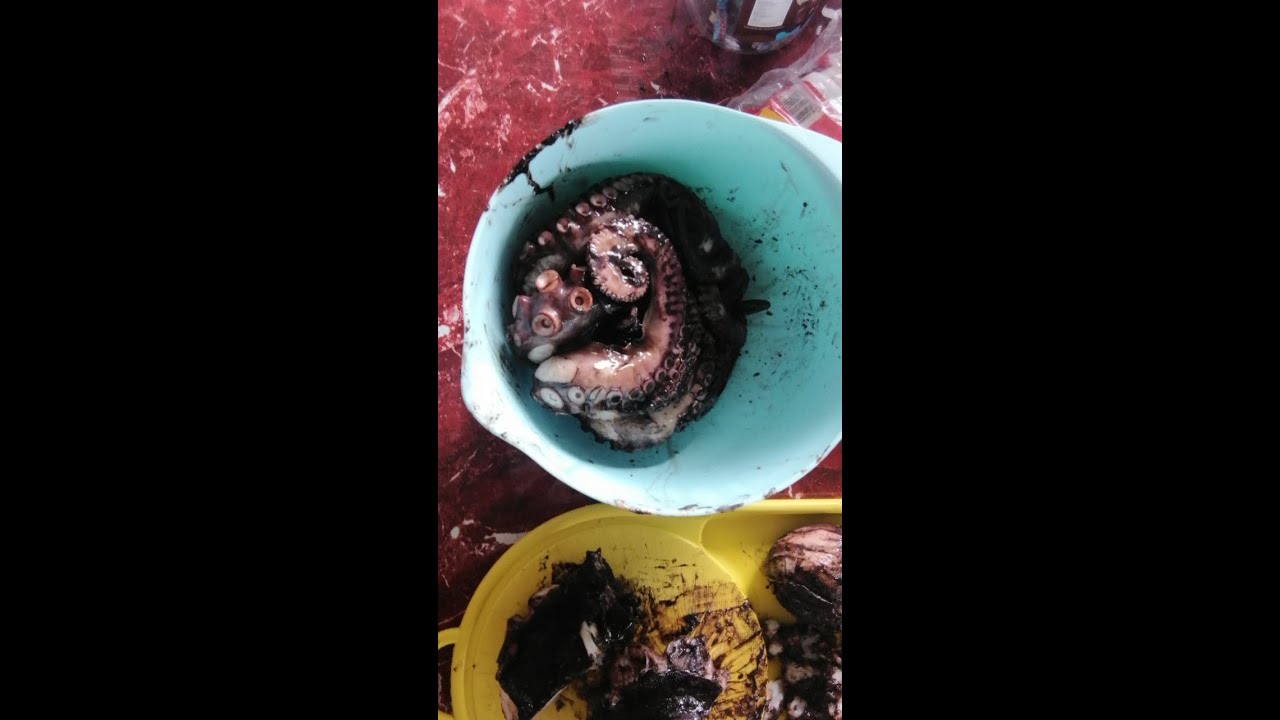 Pugita, Octopus, Kurita(How to Cook Octopus) Paano magluto ng Pugita ...