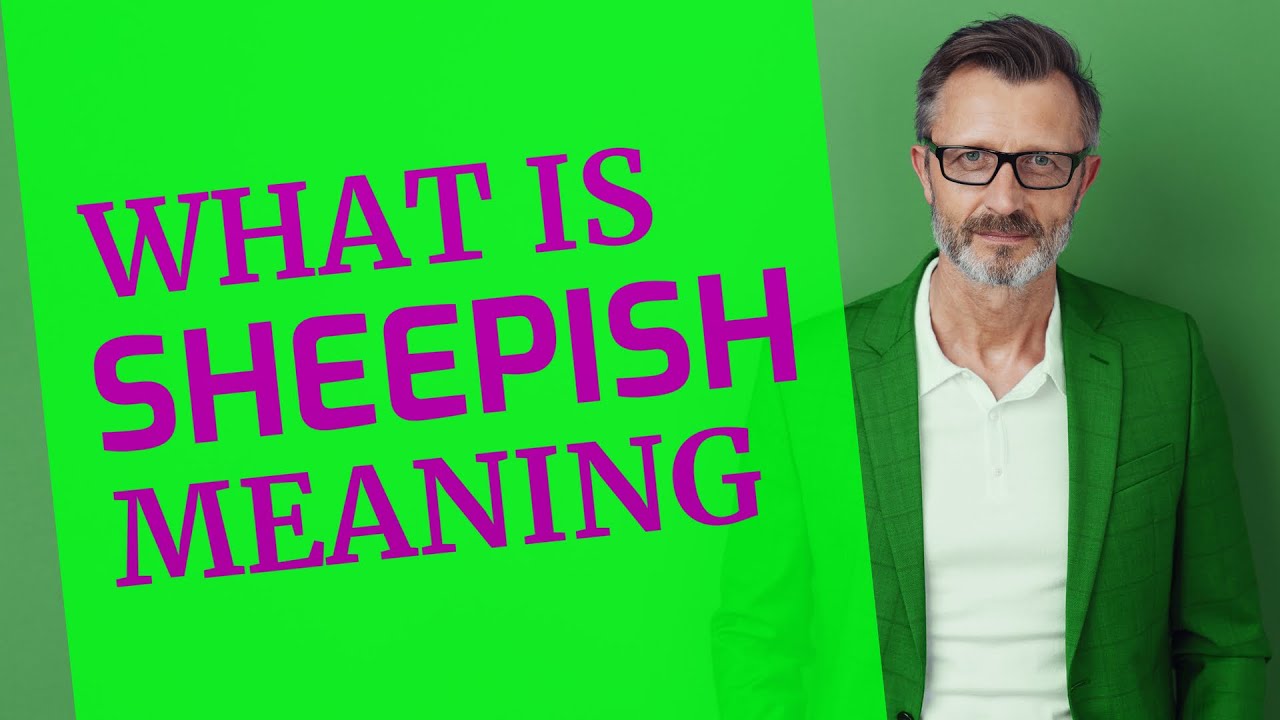 Sheepish | Meaning of sheepish 📖 - YouTube