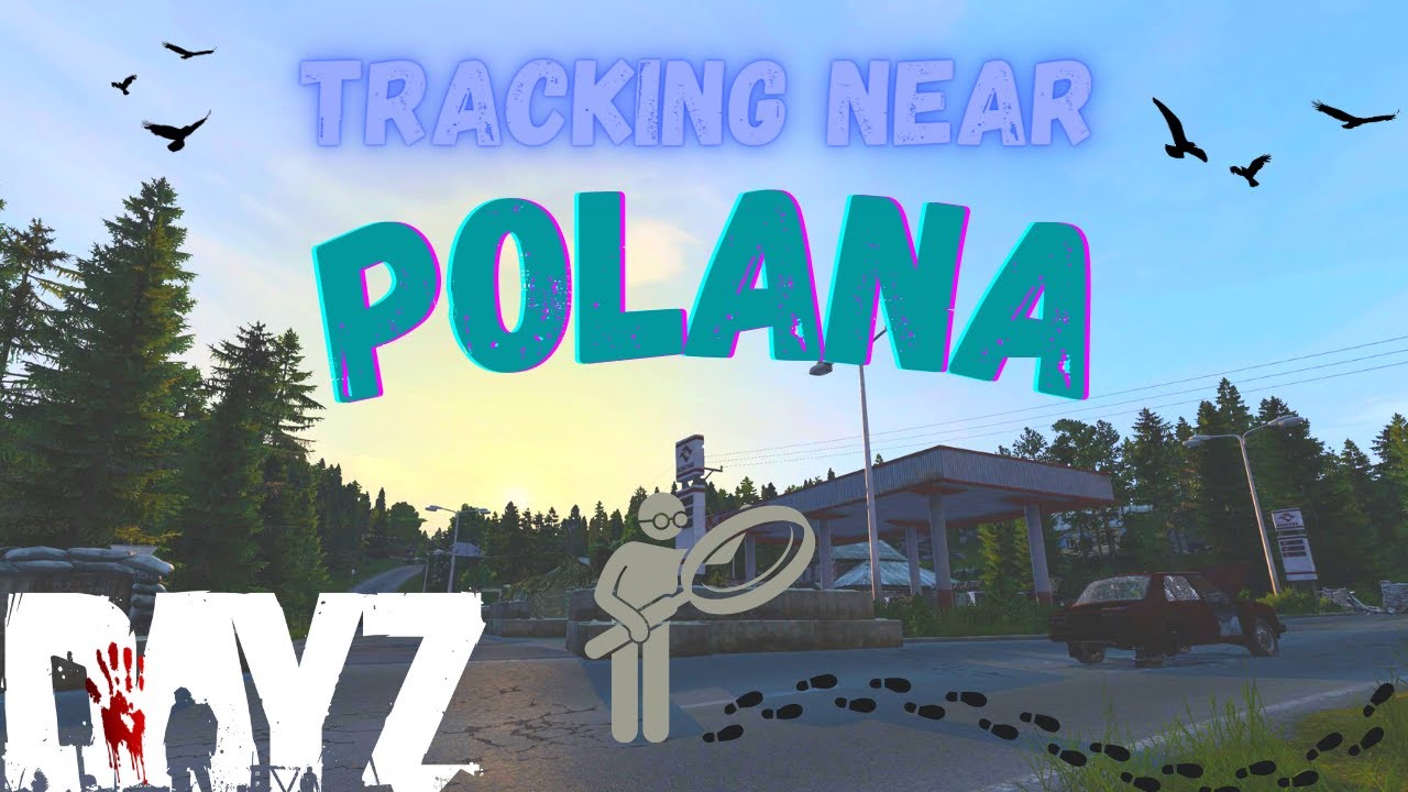 THIS IS DAYZ! Tracking A Survivor To PERFECTION #dayztips - YouTube