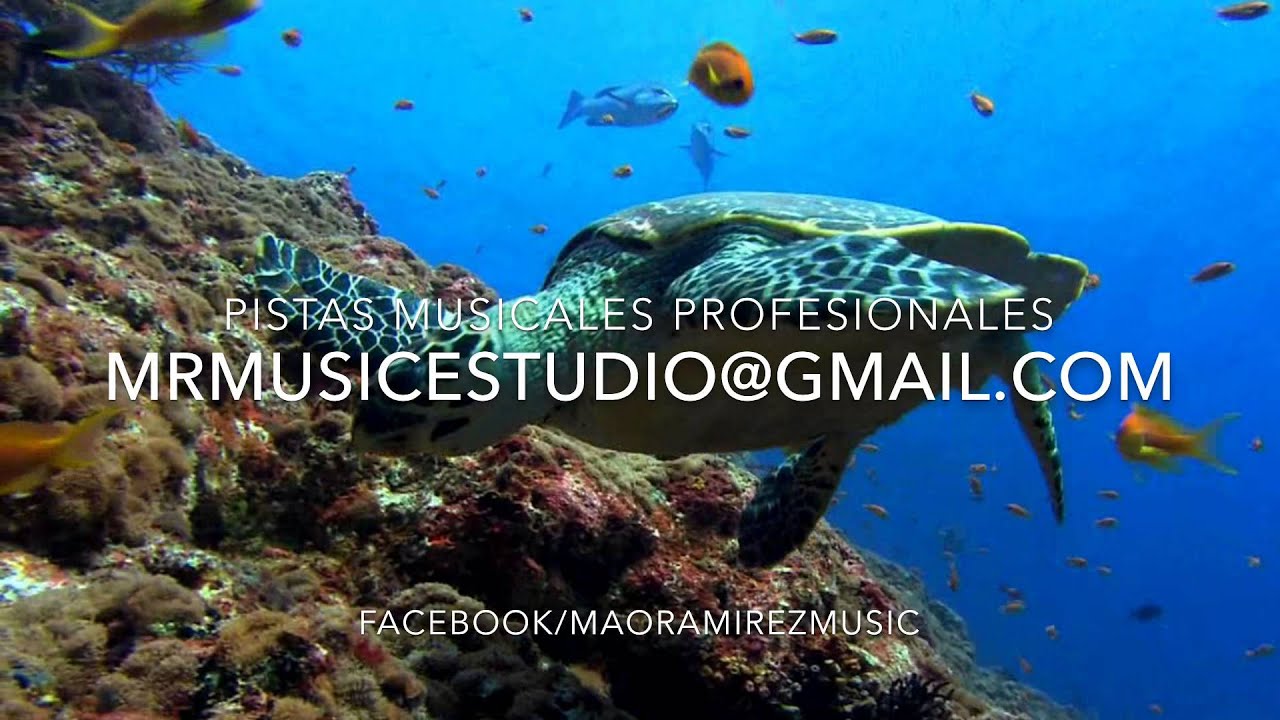 La vida es bella - Ana Isabelle & Chino y Nacho - Pista Instrumental ...