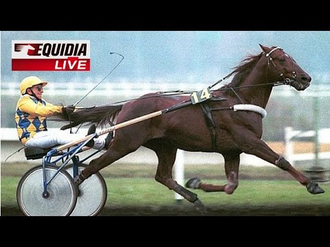 Ourasi : mort d'un cheval de légende - Cheval Magazine