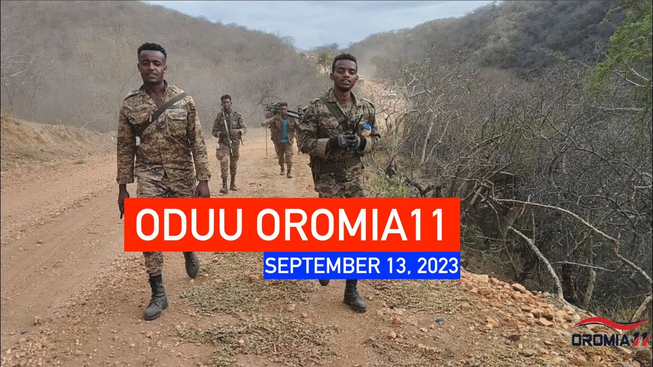 OROMIA11: Oduu 9-13-2023 - YouTube