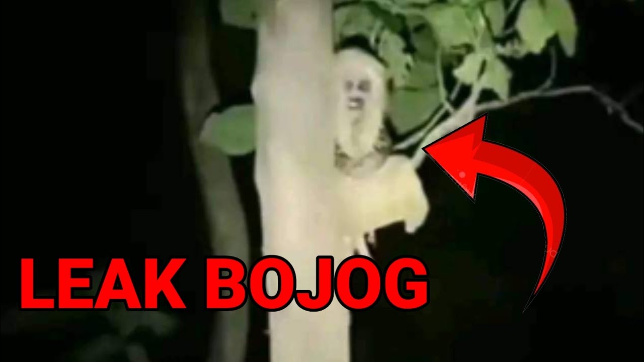 leak bojog Niki Semeton? - YouTube