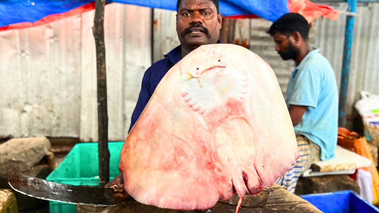 STINGRAY FISH CUTTING BY SPEED SELVAM | HD VIDEO | IN KASIMEDU ...