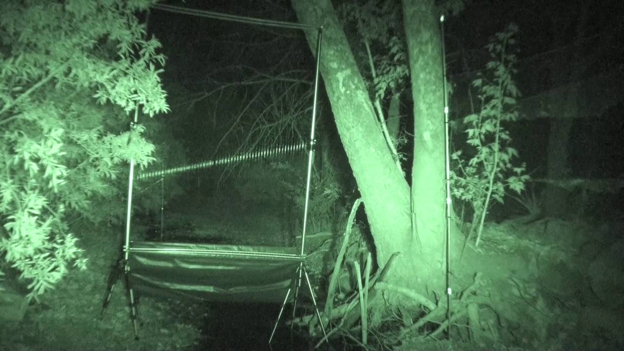 2014 Stewart Harp Trap - YouTube