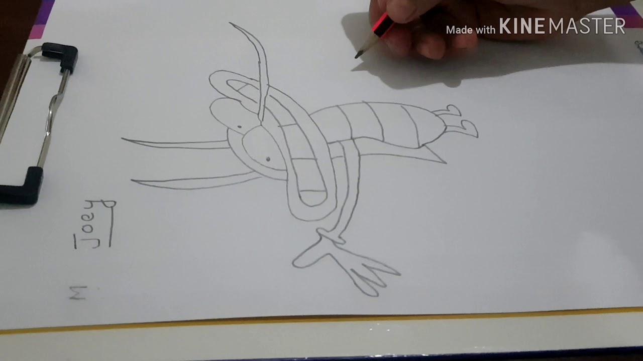 Joey drawing - YouTube
