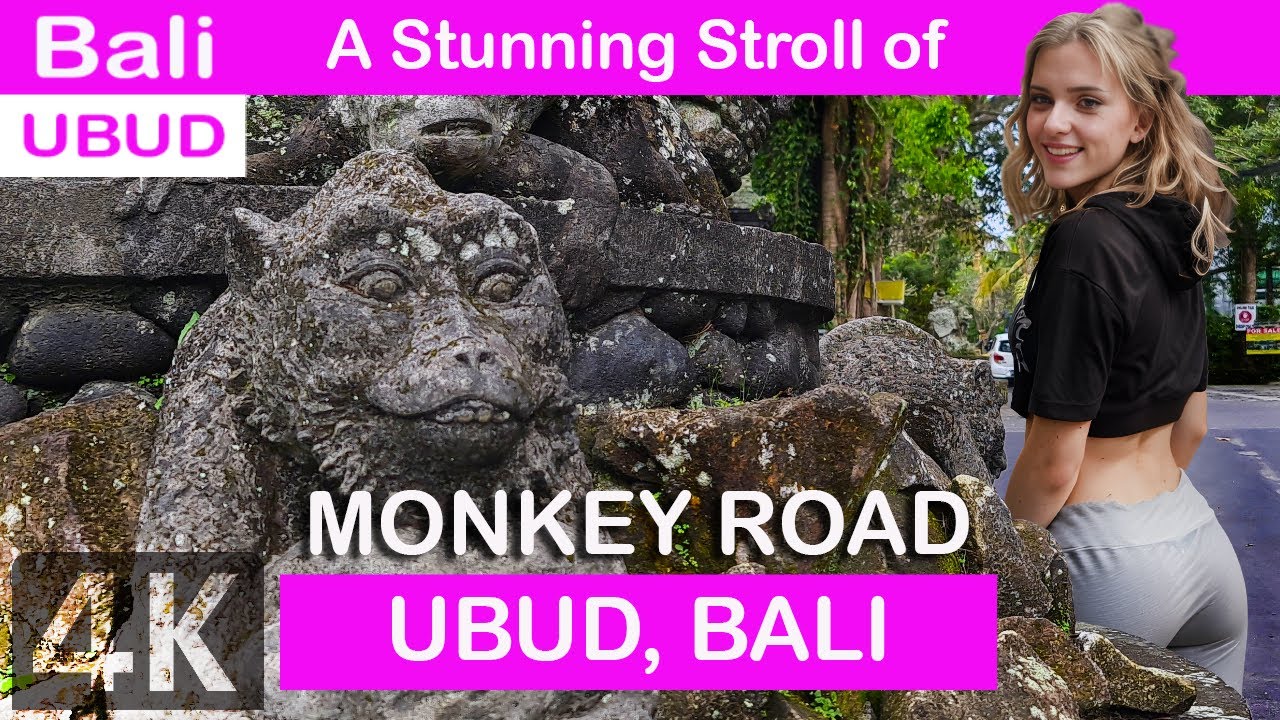 Paradise Unleashed: Monkey Road, Ubud - A BALI Walking Tour - YouTube