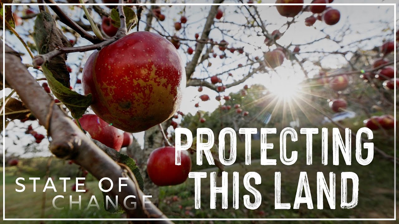 How an apple orchard is preserving Appalachian views | State of Change ...