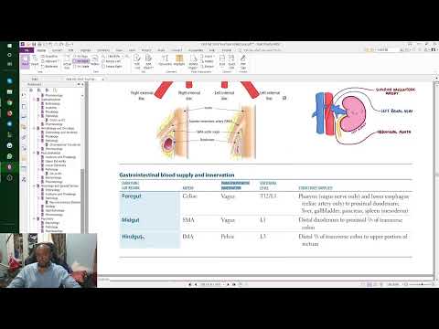 USMLE Live Stream -- First Aid 2019 -- Gastrointestinal 2 Anatomy & Histology