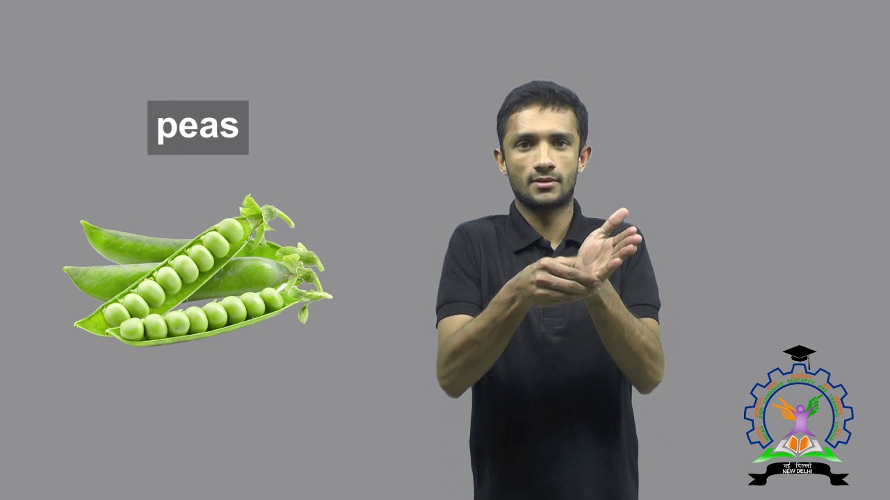 peas (sign 1) - YouTube