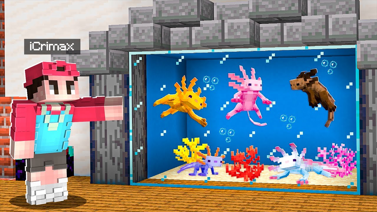 Ich BAUE ein AXOLOTL AQUARIUM in MINECRAFT! 😍 - YouTube