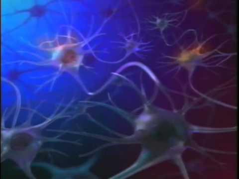 Alcohol and The brain - YouTube