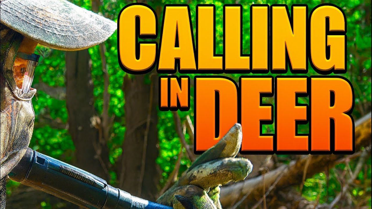 How to CALL IN DEER using The Extinguisher Deer Call - YouTube