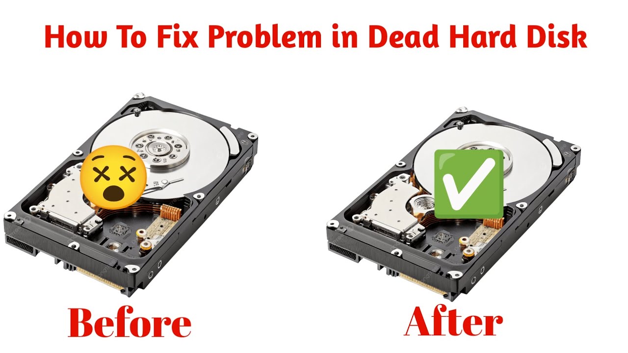 How To Recover Data From Dead Hard Disk | Hard Disk Not Detected ...
