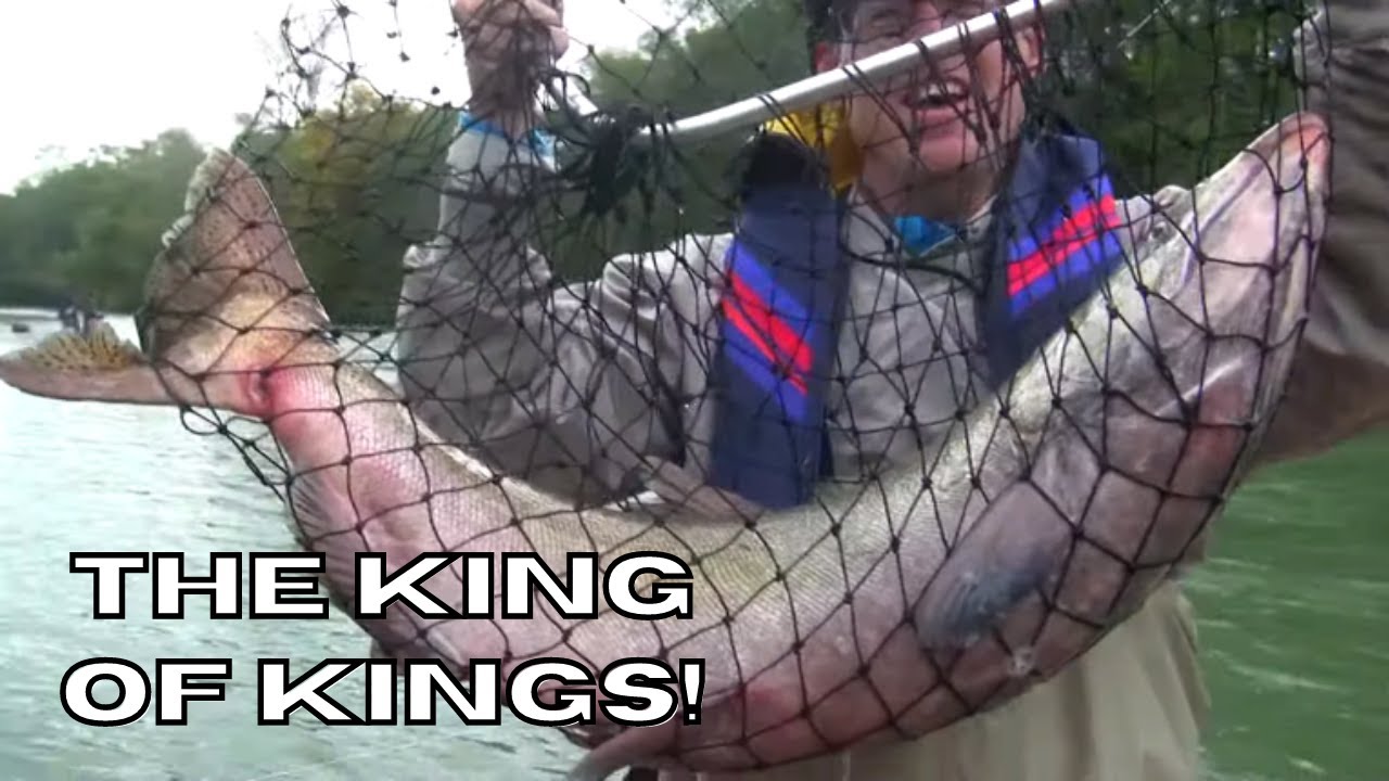 Hawgs on the Humptulips - Salmon Fishing Extravaganza - YouTube