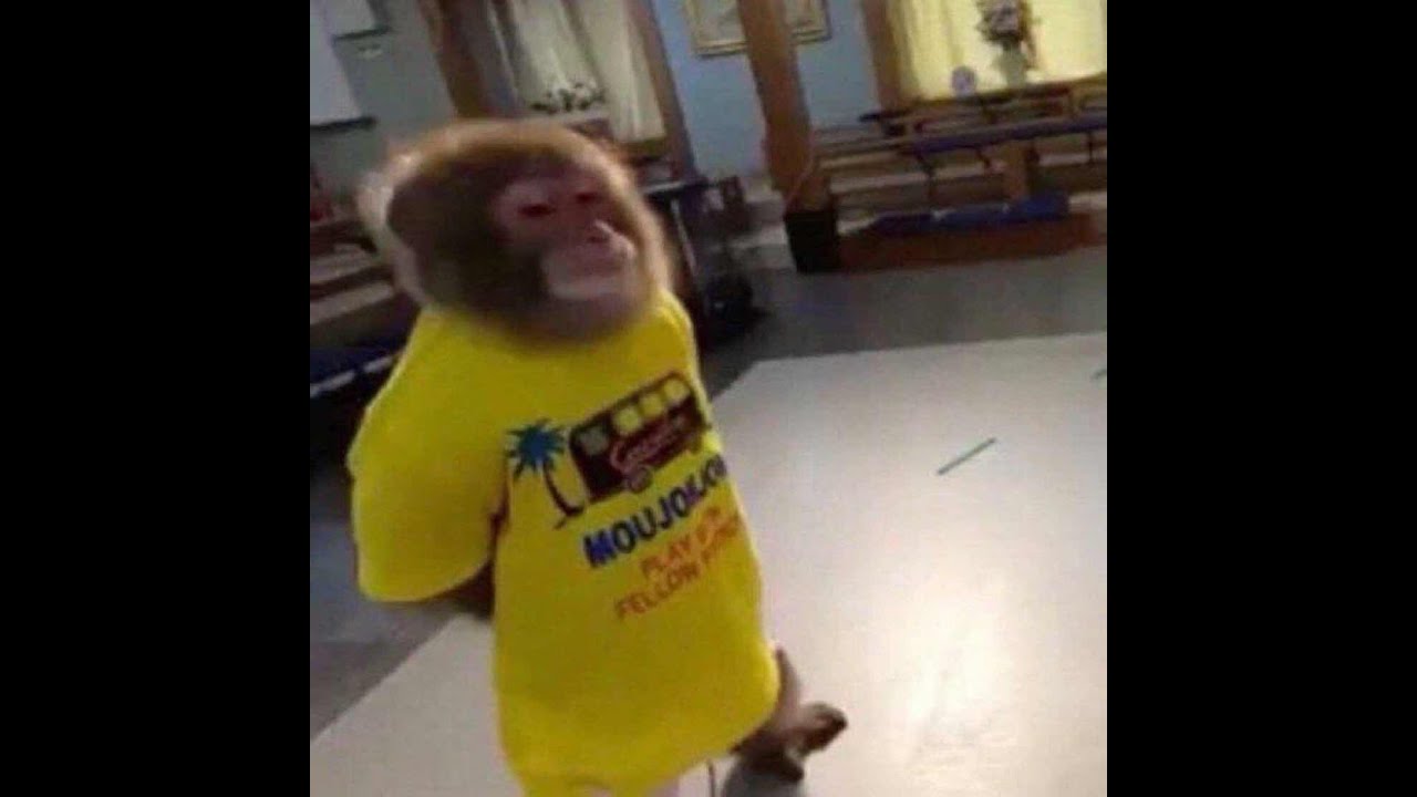 god gamer founder of games - YouTube