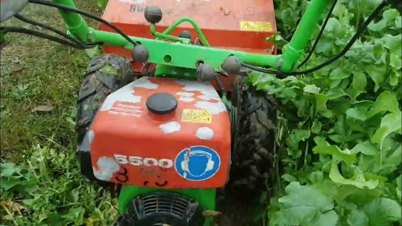 Agria 5500 KL Sound Einachser mit Mulcher - YouTube