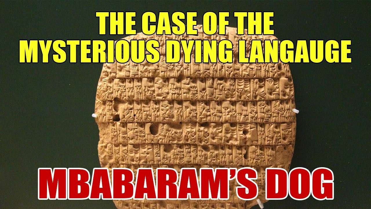 Mbabaram’s Dog Language Mystery - 😲 look at the pinned comment #shorts ...