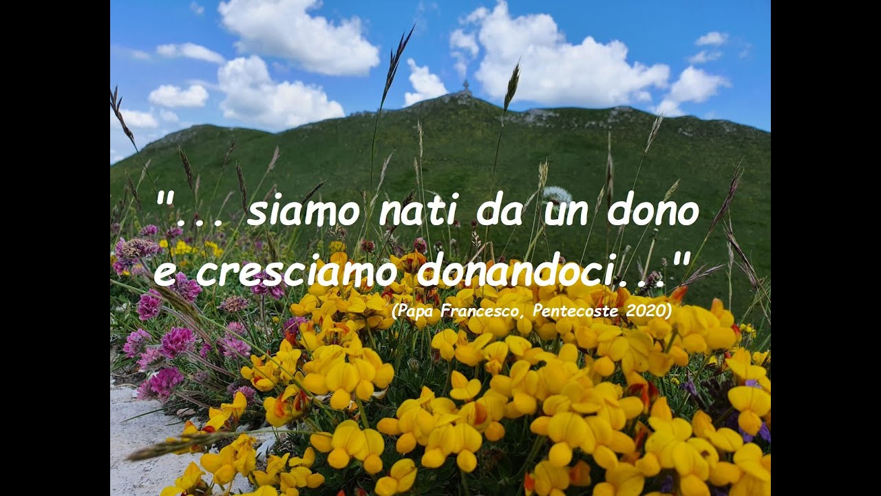 Venerdì 5 giugno - YouTube