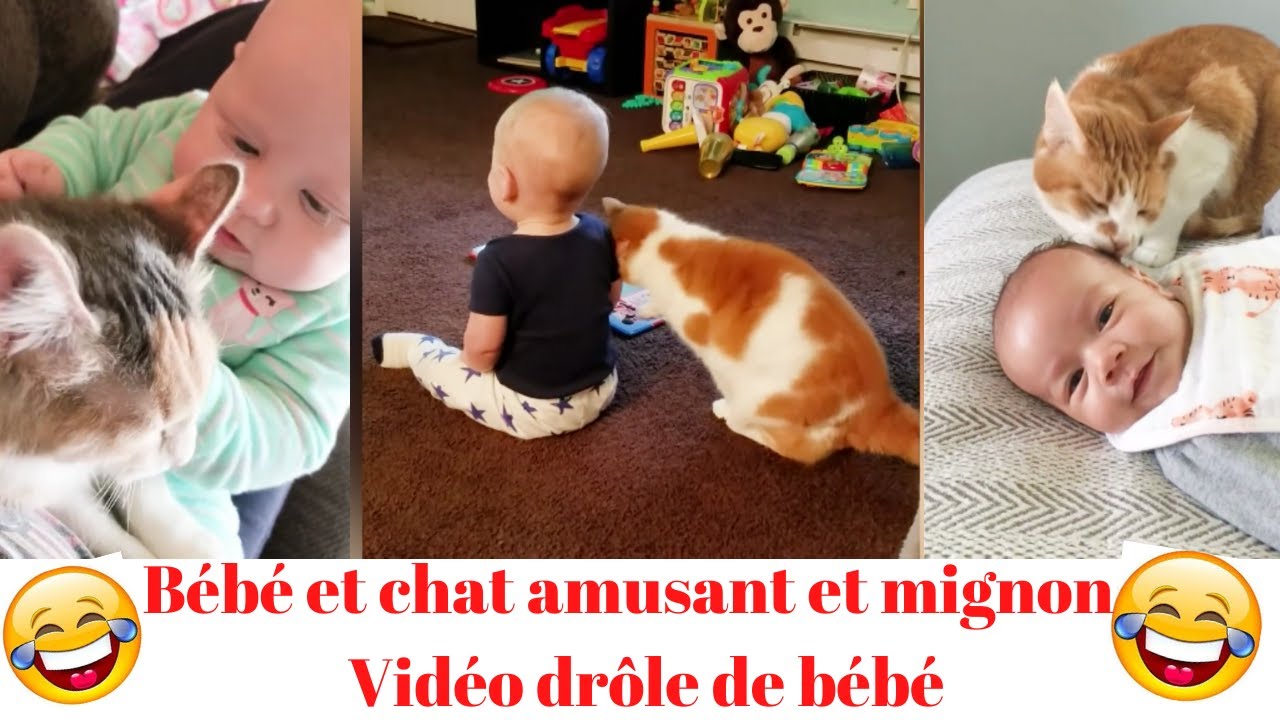 Bébé et chat amusant et mignon Vidéo drôle de bébé - YouTube