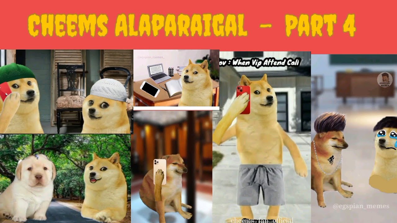 Cheems comedy memes 🤣-part 4 Tamil | Cheems Alaparaigal tamil ...