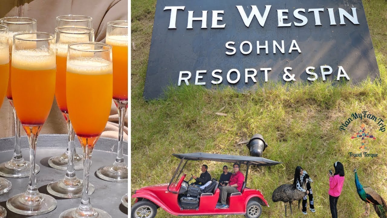 Discover The HIDDEN Gem Of Westin Sohna Resort For Your Next Staycation ...