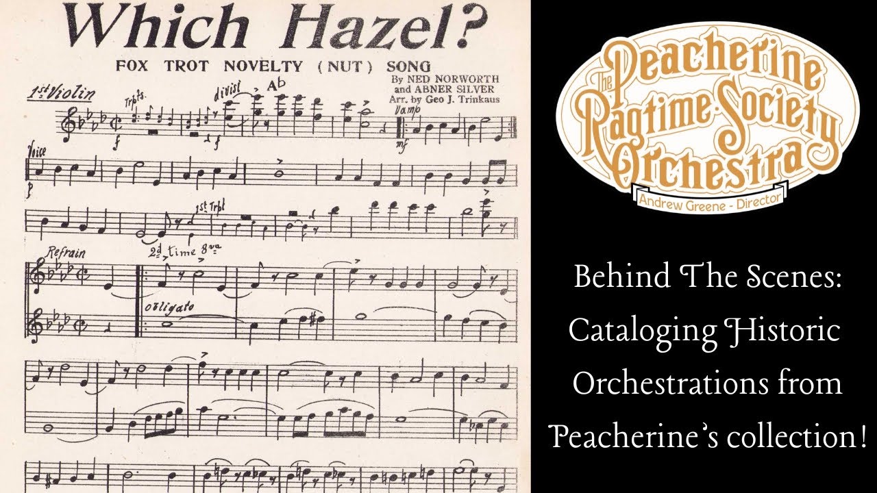 Behind The Scenes: Cataloging The Peacherine Collection! - YouTube