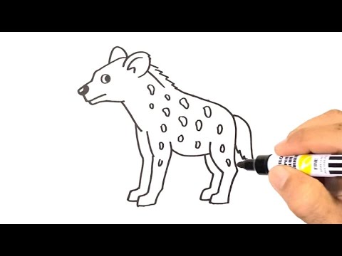 How to DRAW A HYENA Animal Drawing Step by Step - YouTube