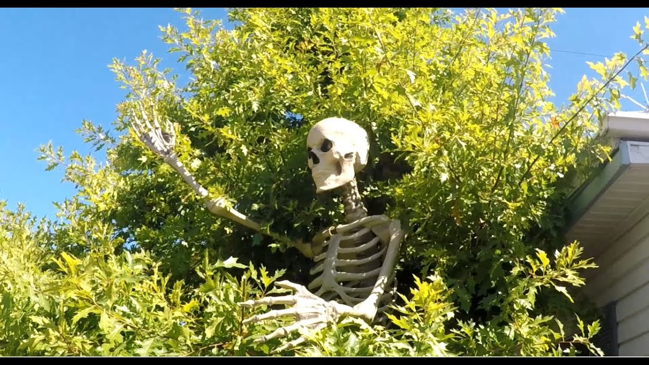 12 Foot Skeleton Unboxing | Home Depot | Halloween Decorations - YouTube