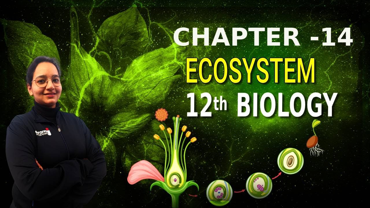 Biology CH-14"Ecosystem PART 1 | #biology Revision for CBSE 2024 Part-1 ...