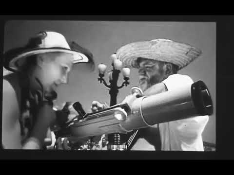 Ани лорак статус живая 