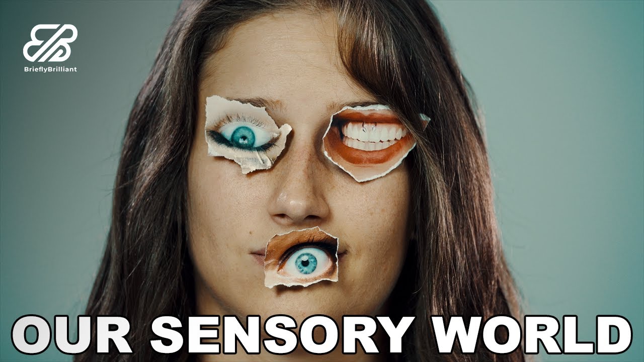 The Five Senses - A Deep Dive into Our Sensory World - YouTube