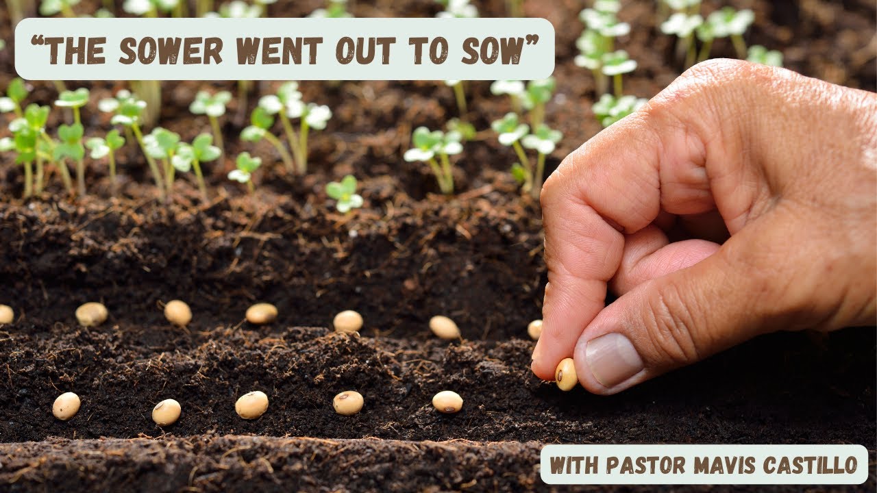 The Sower Went Out to Sow. - YouTube