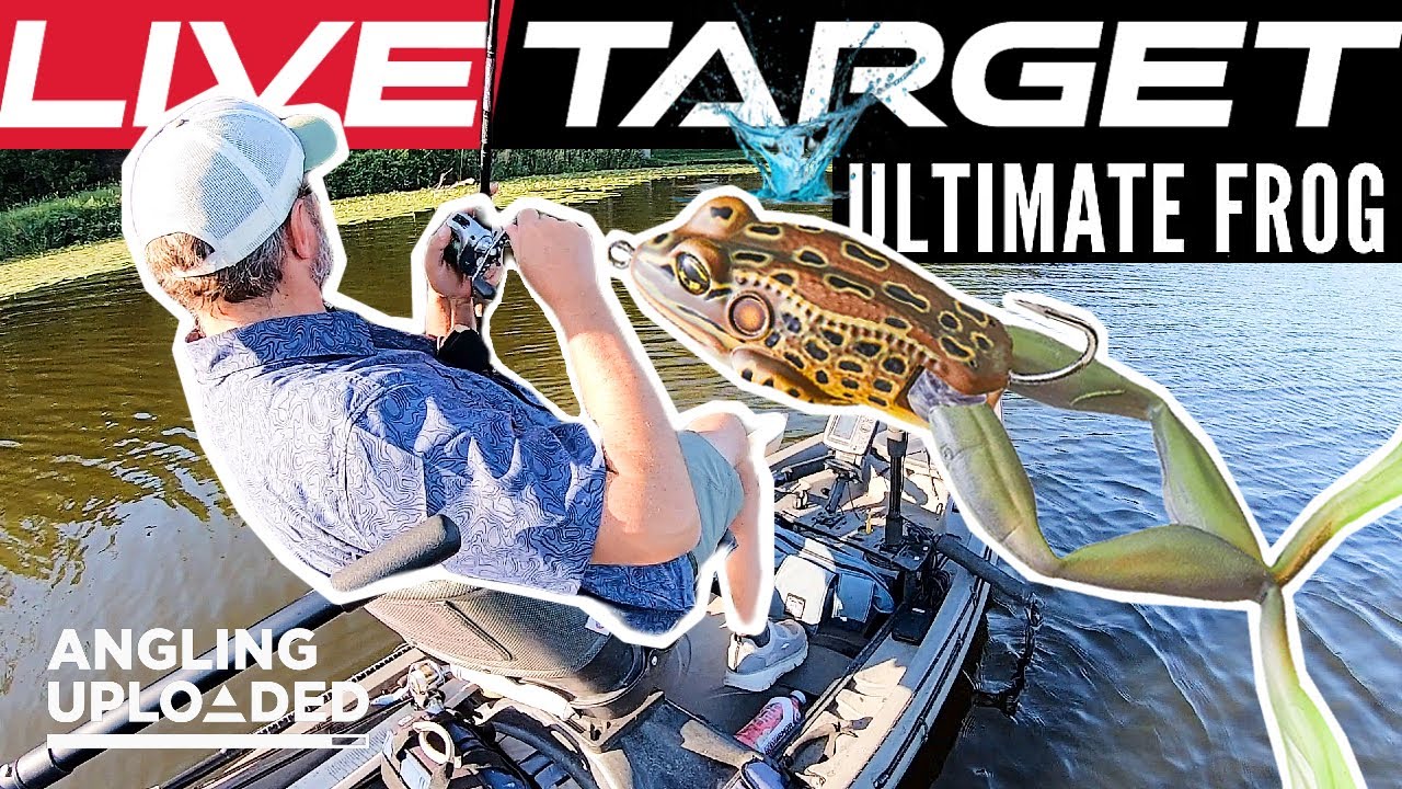 The LIVETARGET Ultimate Frog is UNREAL! - YouTube