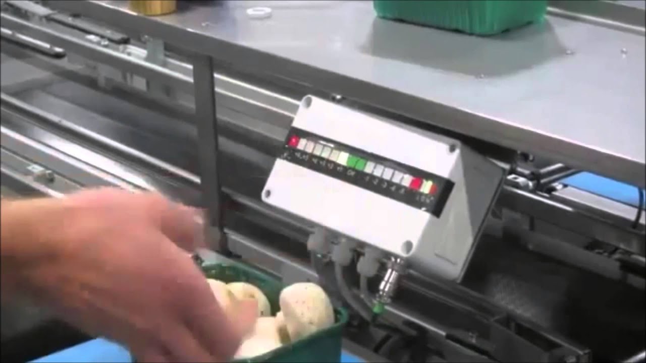 In Line Check Weigher with LED Bar - YouTube