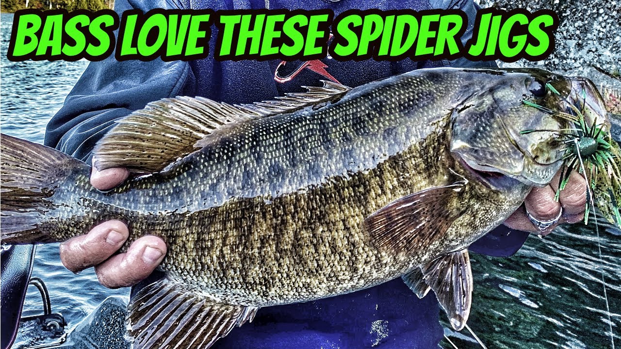 BASS LOVE THESE SPIDER JIGS- Ontario Hotspots For Smallmouth Bass - YouTube