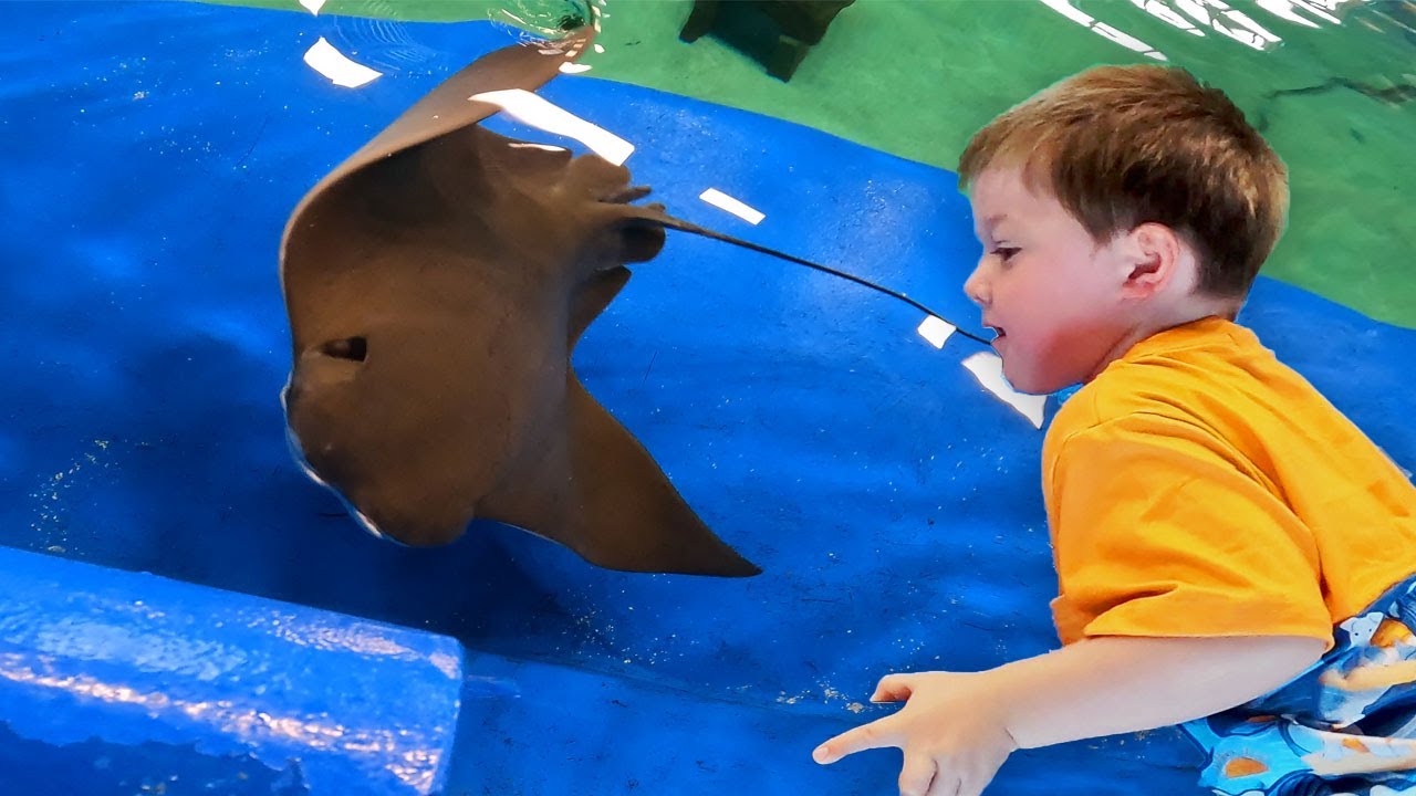 THE END! DISASTER STRIKES at the RAY POOL plus SPECKLED TROUT are the ...