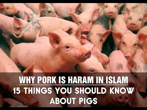 Why pig or pork is Haram in Islam . - YouTube