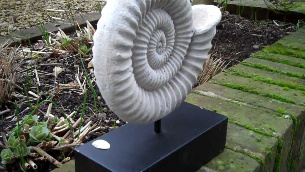 Nautilus Shell Sculpture - YouTube