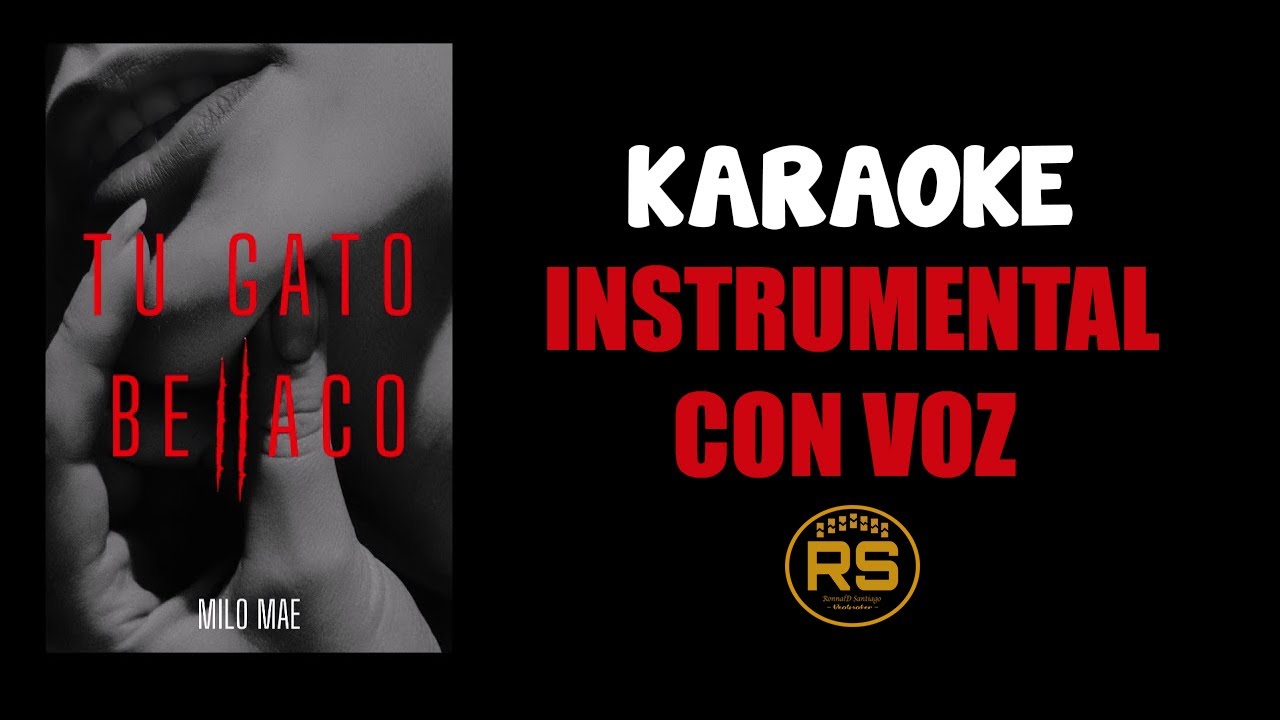 TU GATO BELLACO - Milo Mae - KARAOKE CON VOZ - INSTRUMENTAL - FLP - YouTube