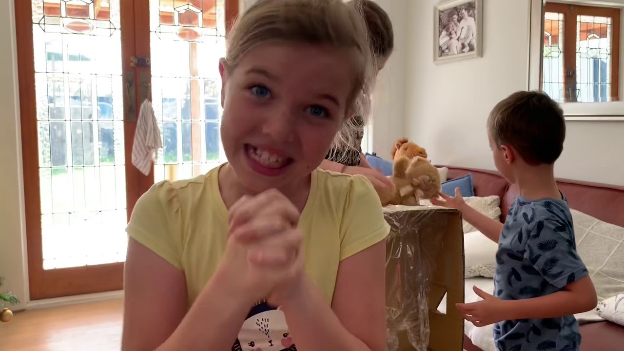 5 star kids what is in the box??? - YouTube