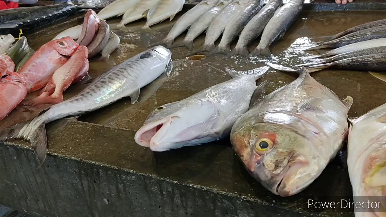Fish Market || Koki Port Moresby Papua New Guinea - YouTube