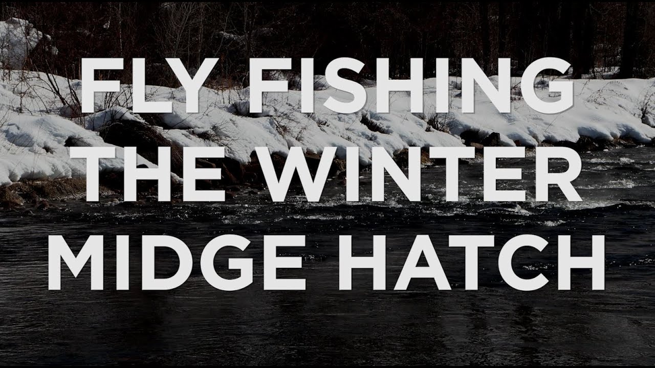 Fish Tech Tip: Fishing the Winter Midge Hatch - YouTube