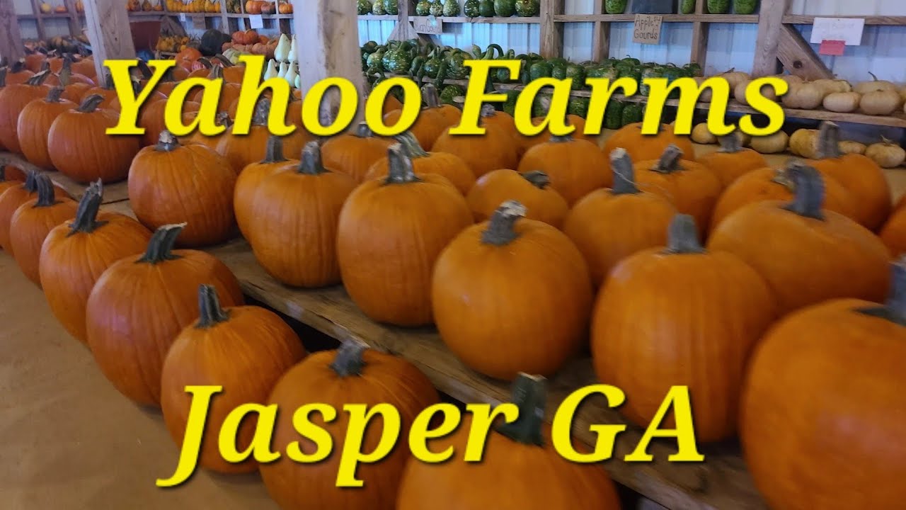 Yahoo Farms in Jasper GA with haunted hayride. I ️ tourist traps. - YouTube