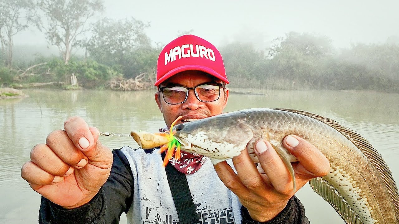 KILER !!! GEOL RETEL ERWIN FISHING || MANCING IKAN GABUS BABON ...